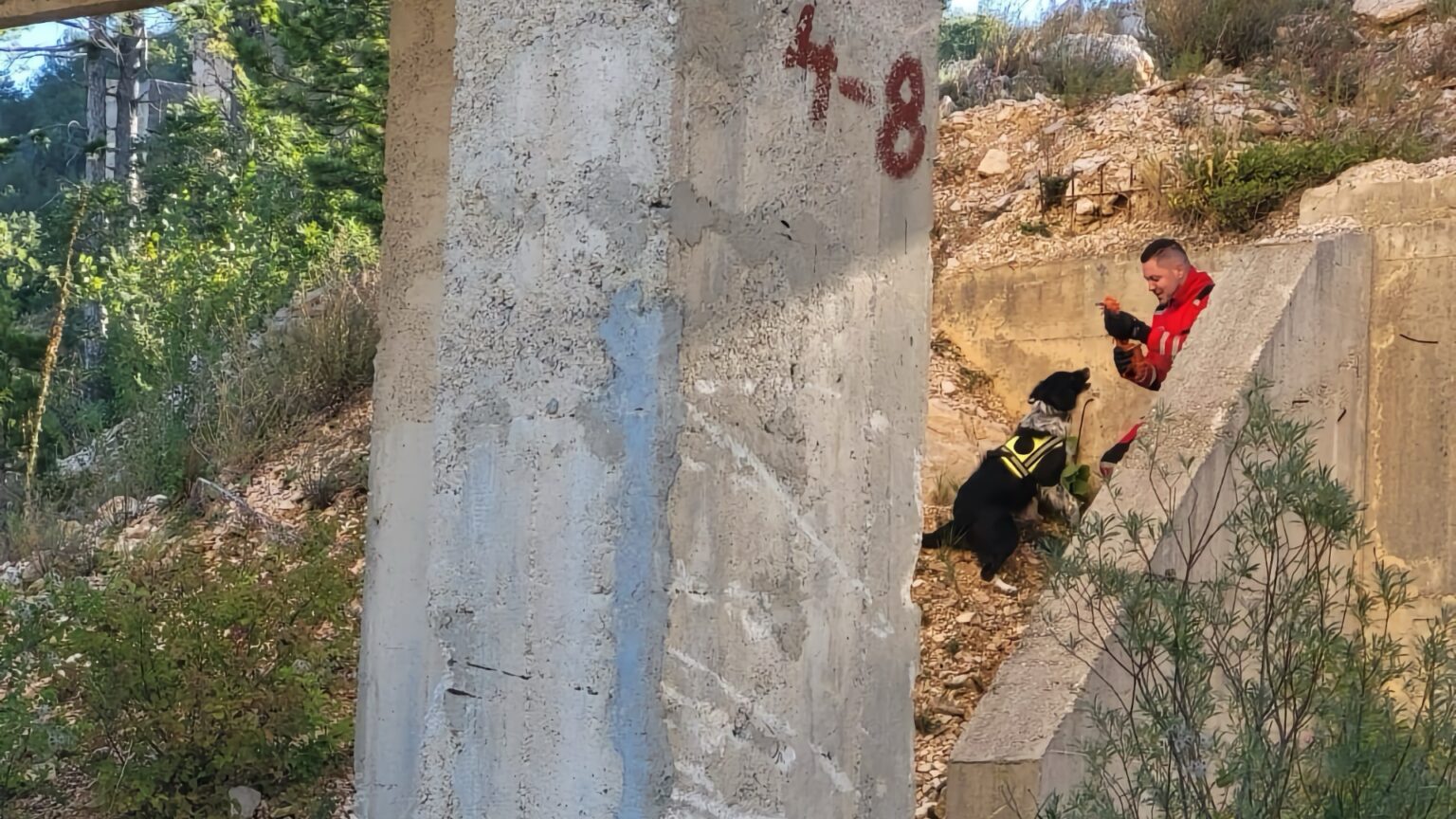 HGSS ČITLUK MEĐUGORJE Domaćin završnog treninga K9 odjela GSSuBiH